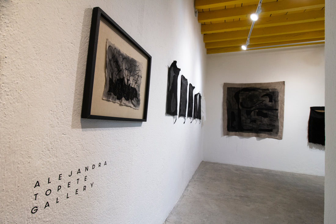 The Condition of Form – Alejandra Topete Gallery